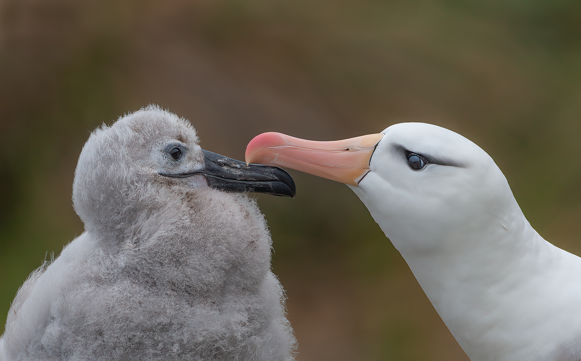 Edinburgh International Print Exhibition