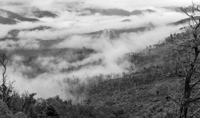Toowoomba Photographic Society