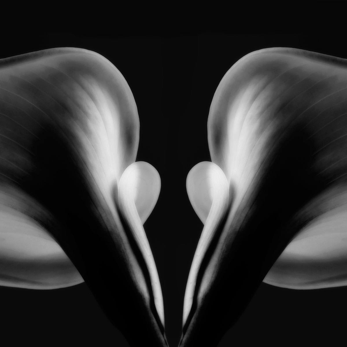 Peninsula Camera Club