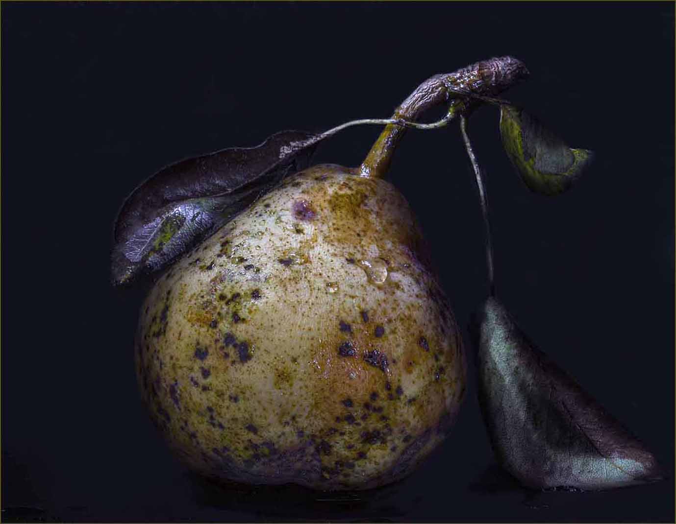 Mawhera National Salon of Photography