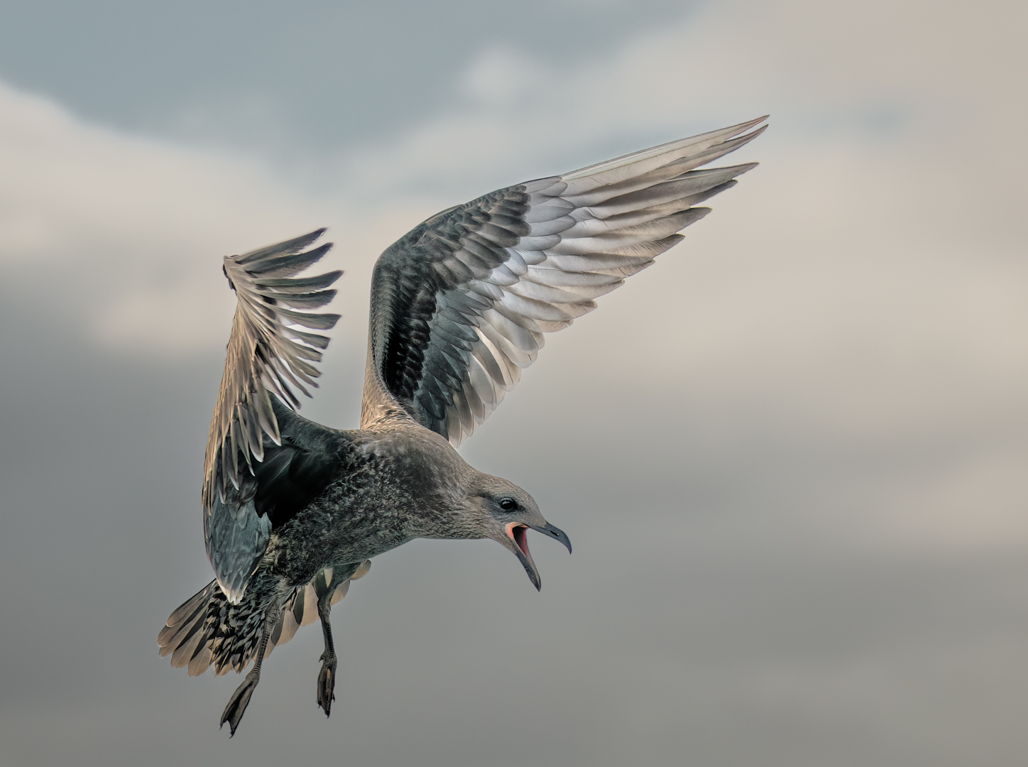 Mawhera National Salon of Photography