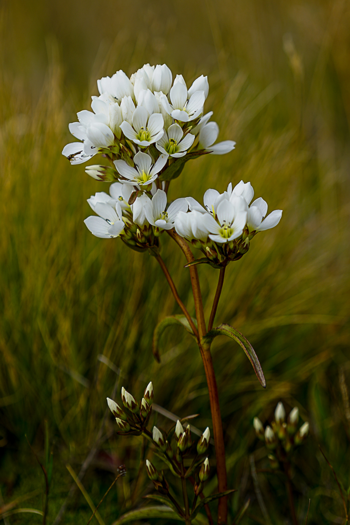 Mawhera National Salon of Photography