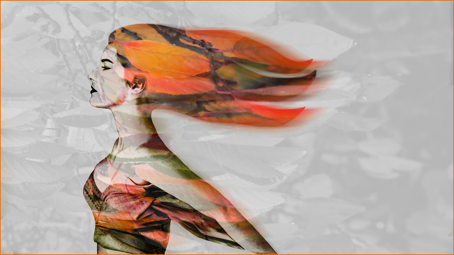 Mawhera National Salon of Photography