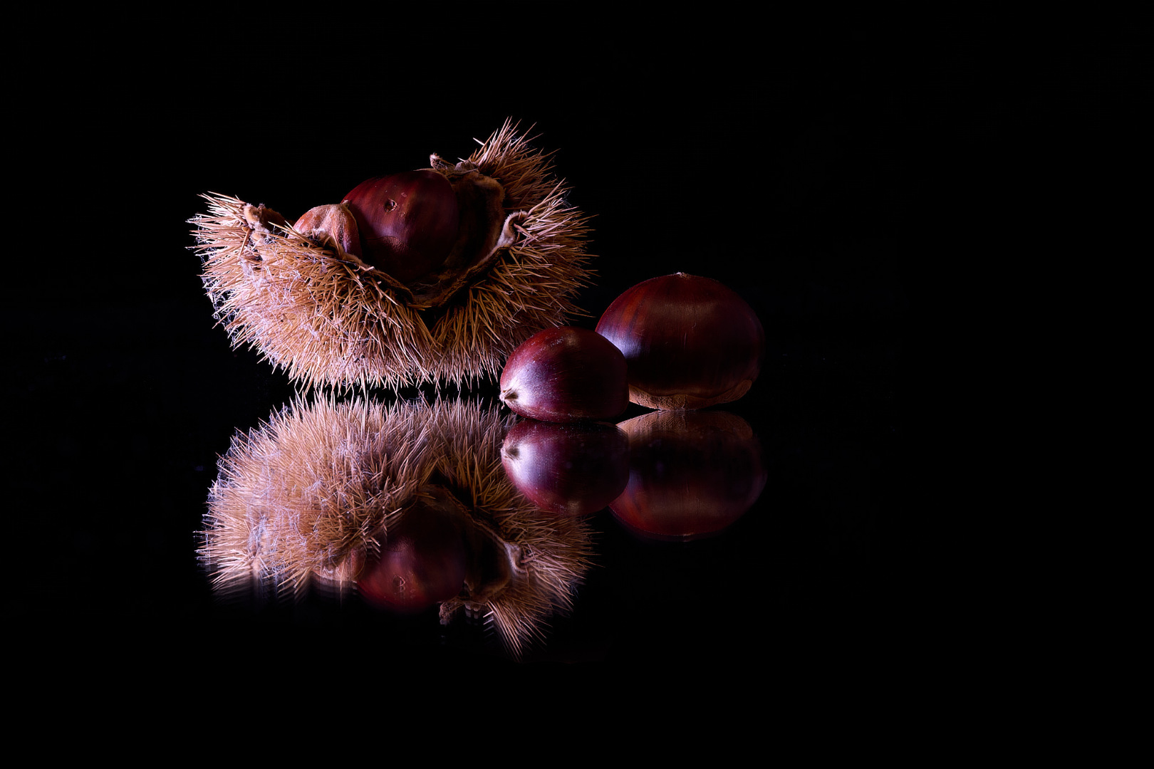 Mawhera National Salon of Photography