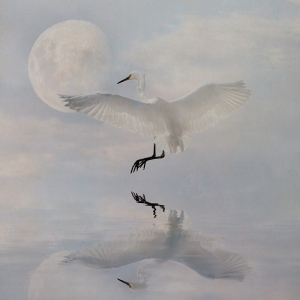 Mawhera National Salon of Photography