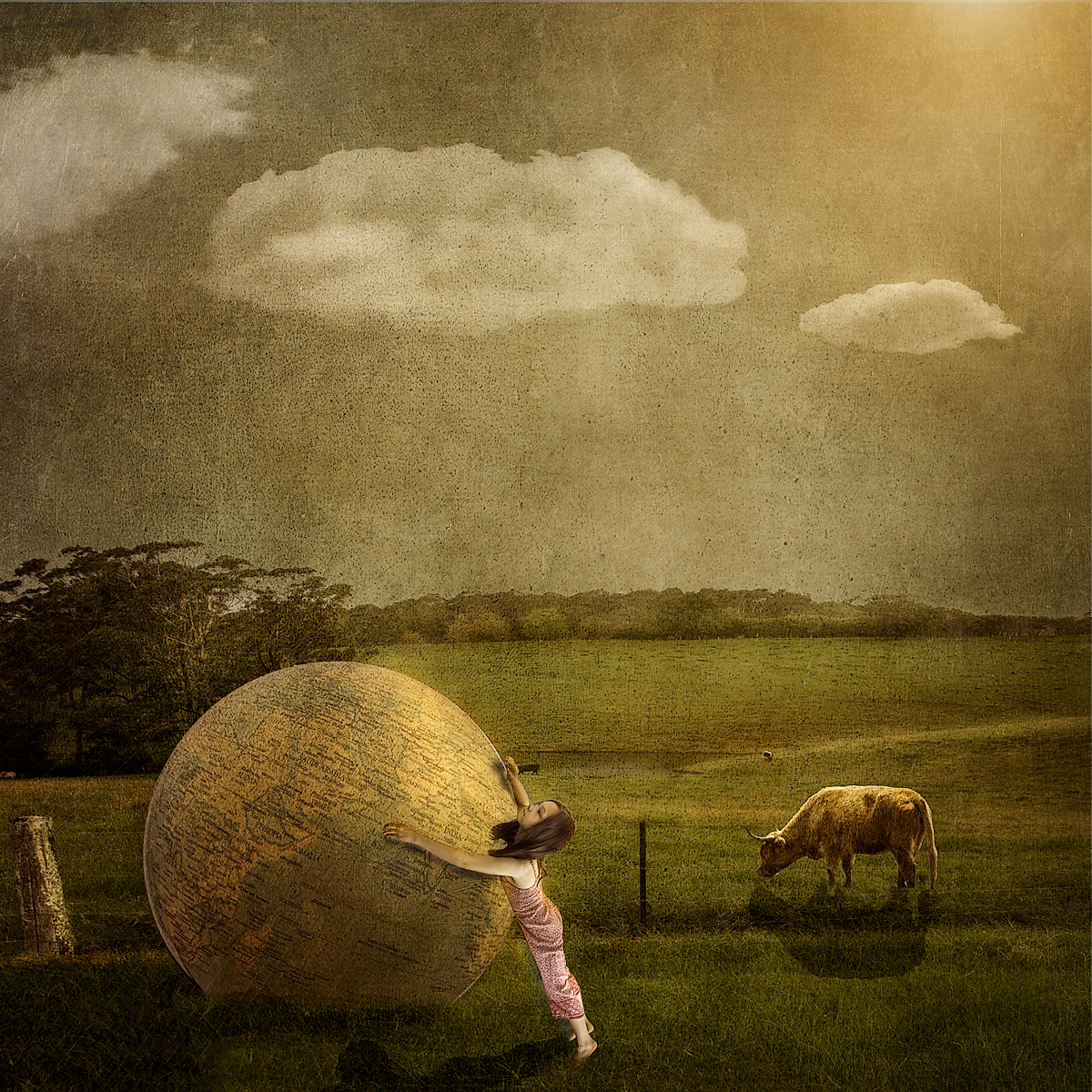 Castle Hill RSL Photography Club