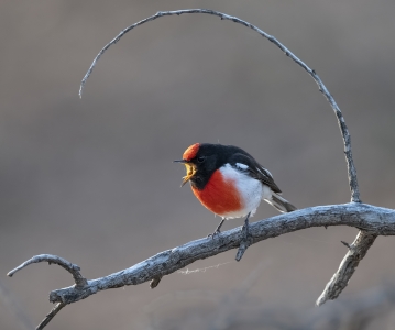 Hornsby Heights Camera Club