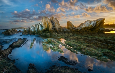 Hornsby Heights Camera Club