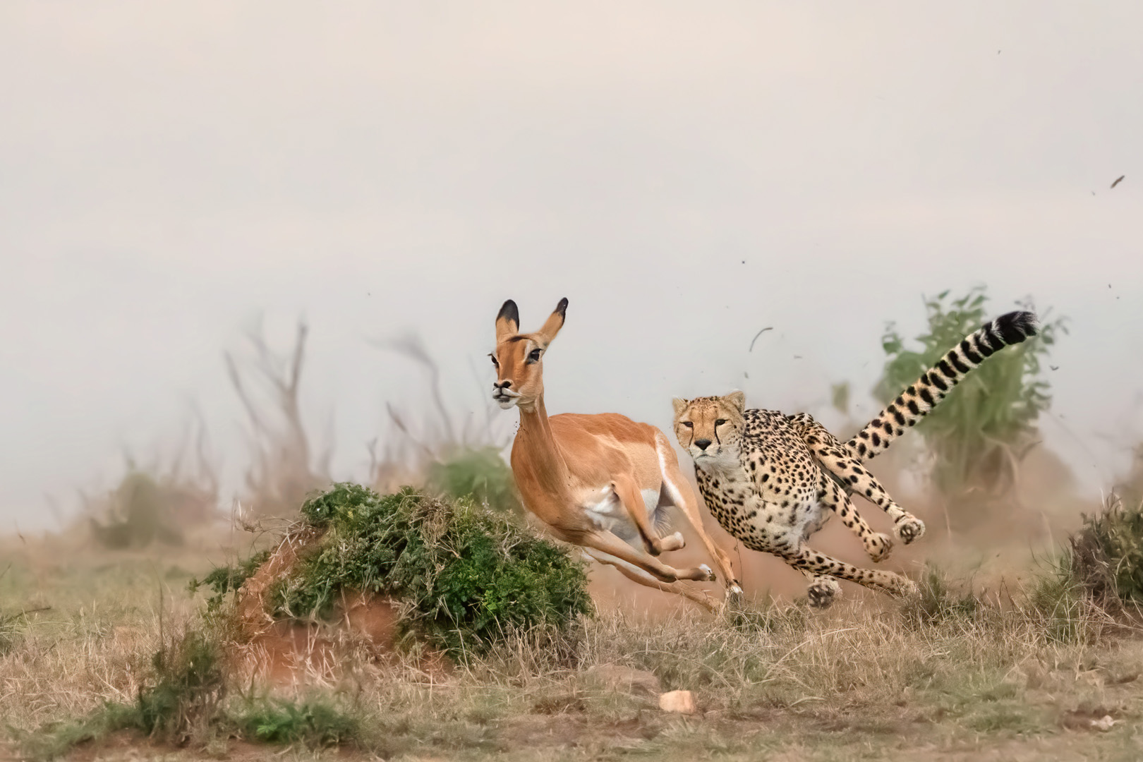Outback International Photography Exhibition