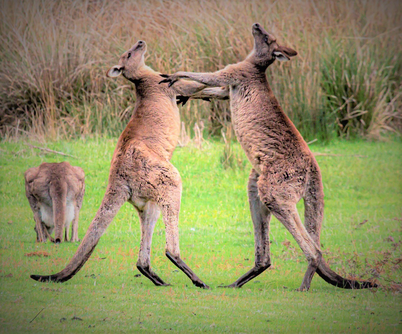 Sunshine Coast Photography Club