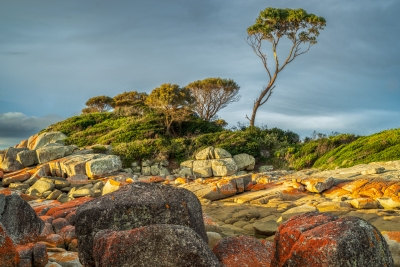Cairns Photographic Society