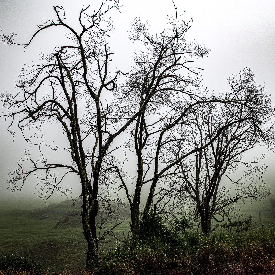 Sunshine Coast Photography Club
