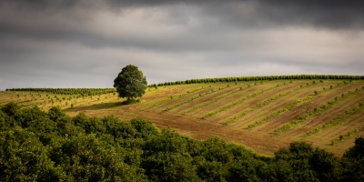 Club Taree Photographic