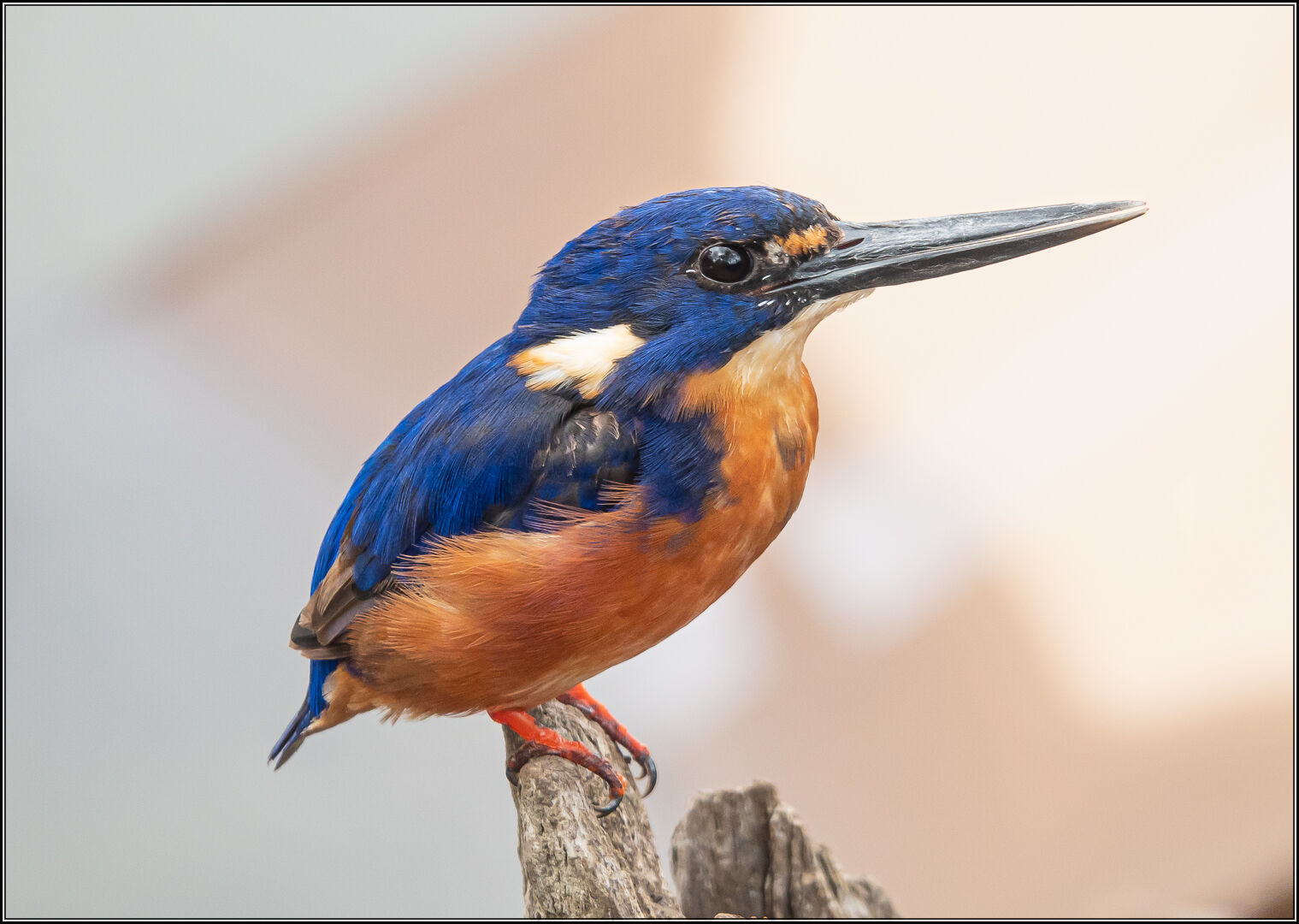 Exposure Unlimited ~ Beaudesert Camera Club