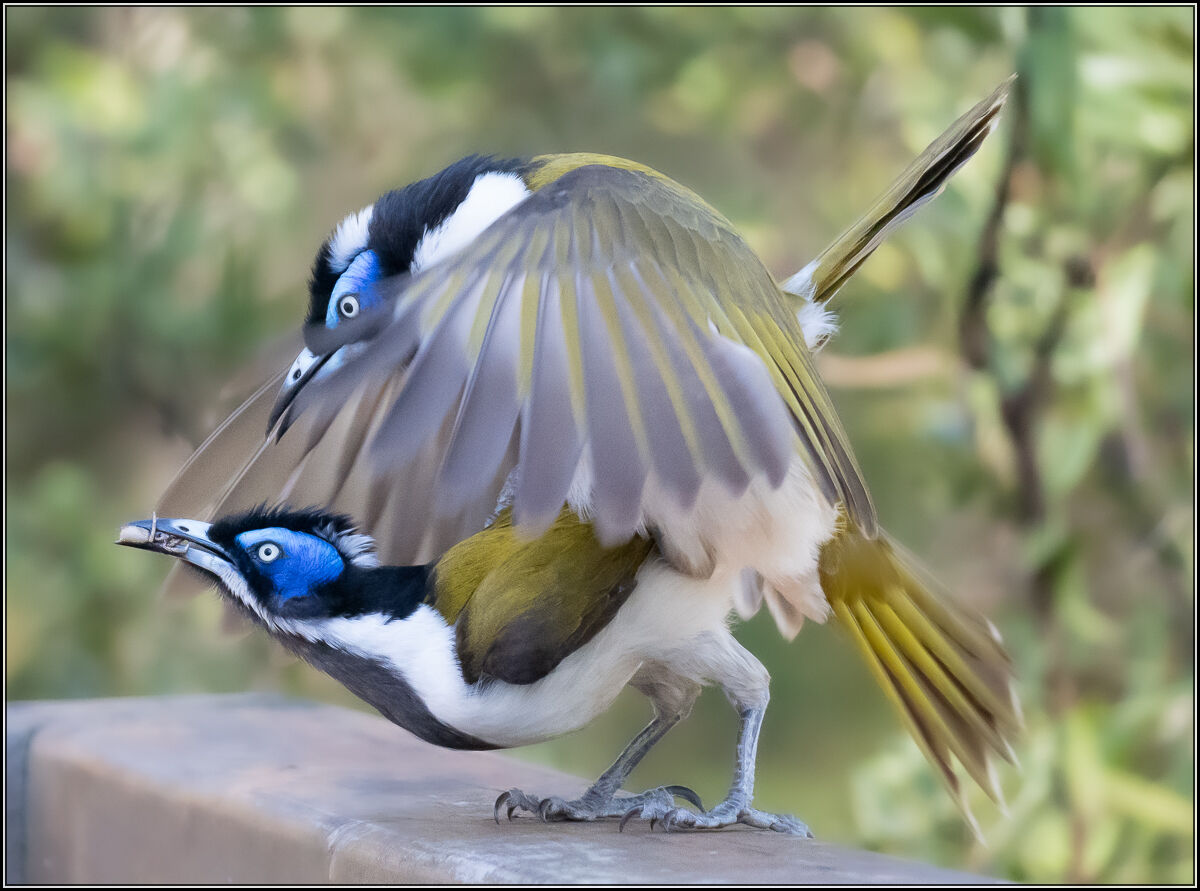 Exposure Unlimited ~ Beaudesert Camera Club