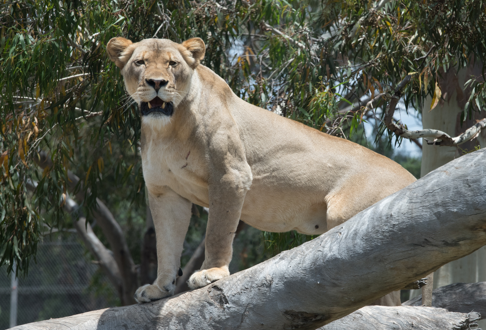 Exposure Unlimited ~ Beaudesert Camera Club