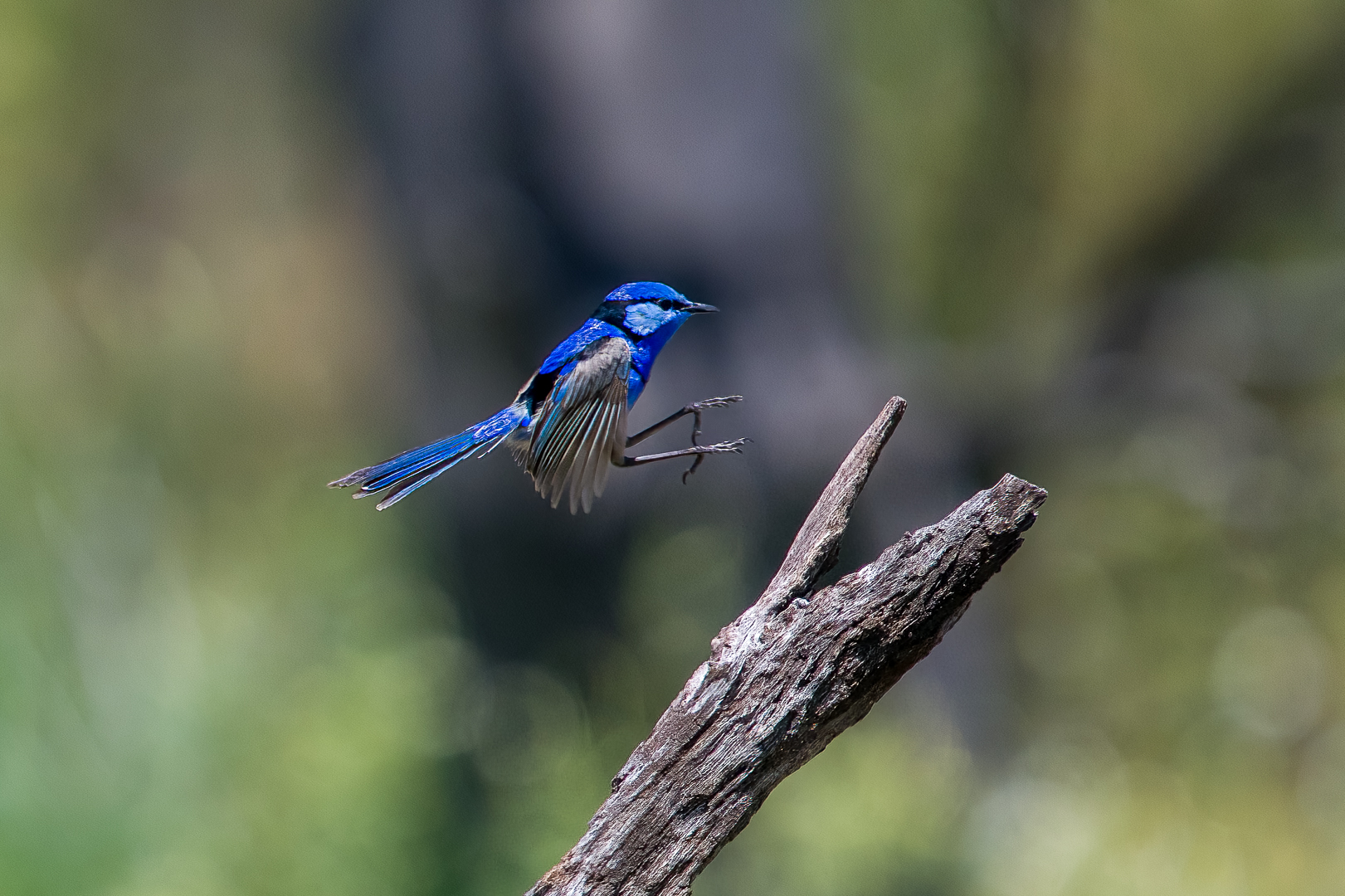 Queensland Camera Group