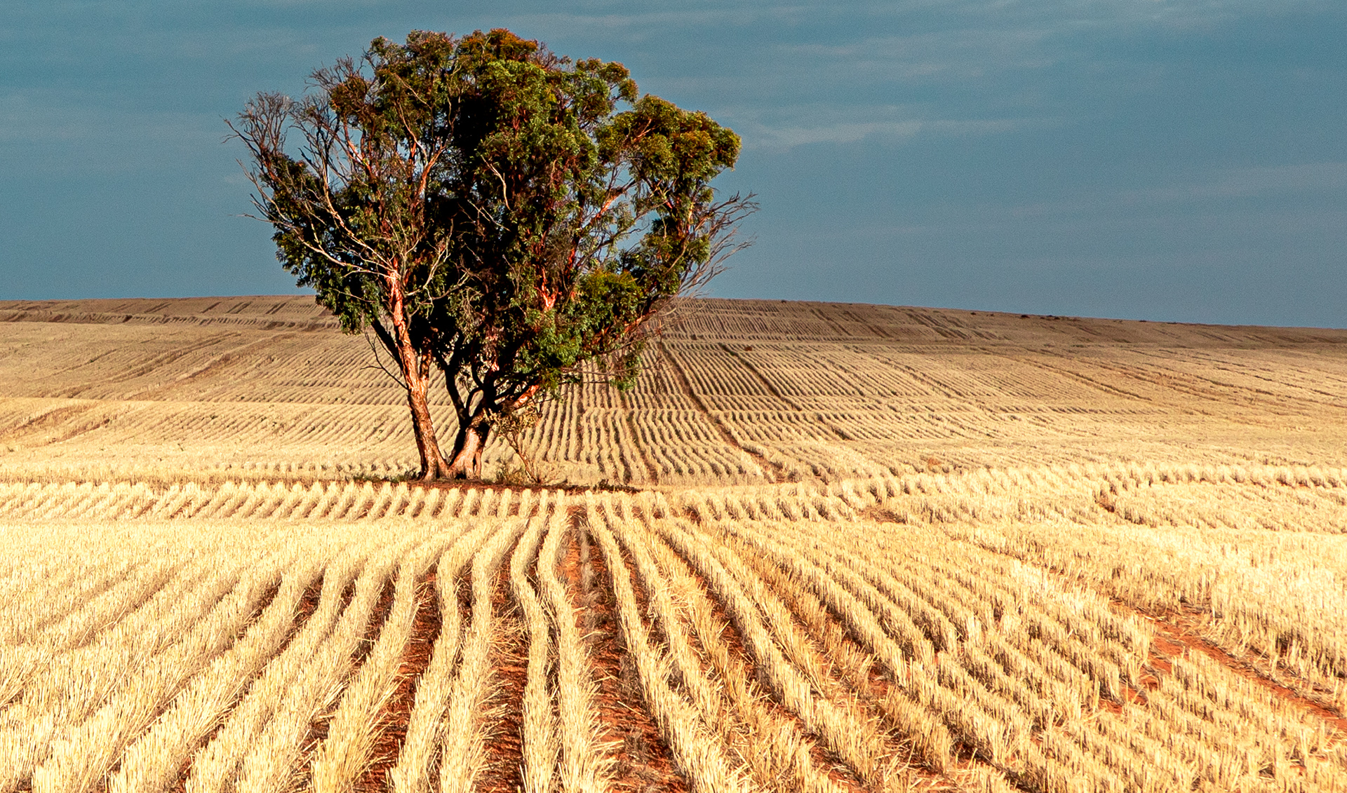 Hornsby Heights Camera Club