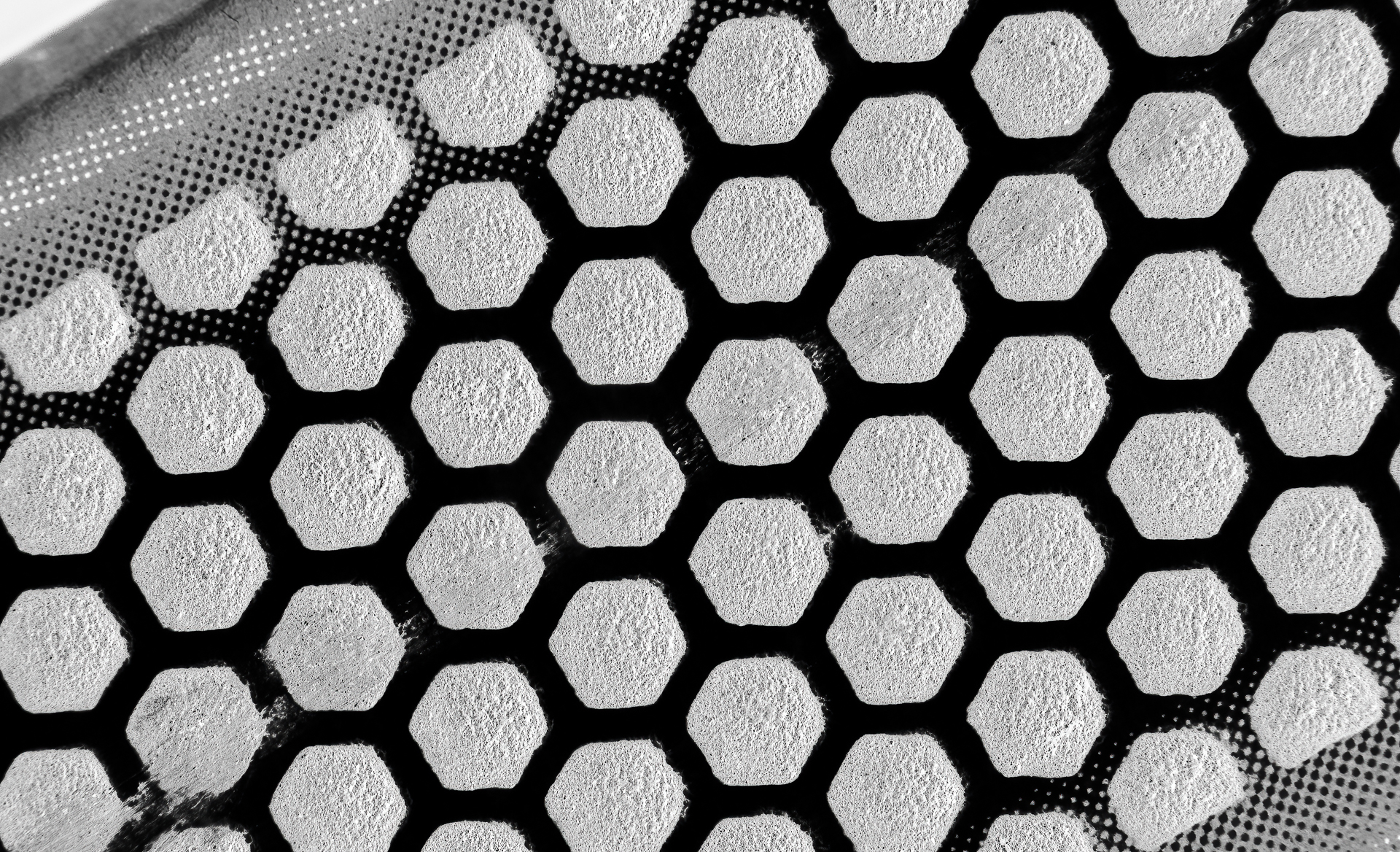 Club Taree Photographic