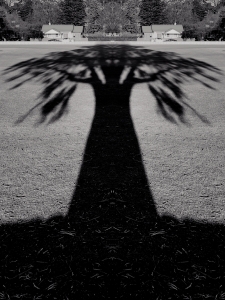 Southern Highlands Photographic Society