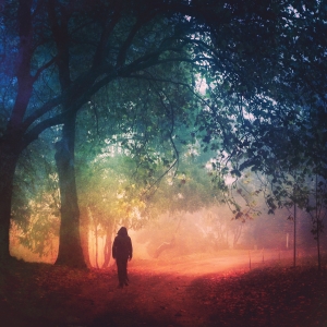 Southern Highlands Photographic Society