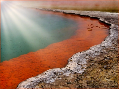 Forster Digital Photography Club