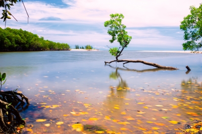 Cairns Photographic Society