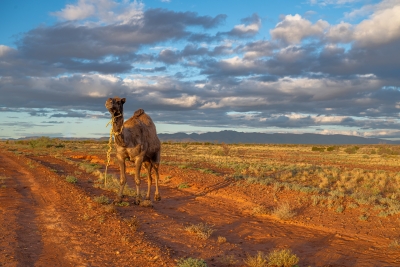 Cairns Photographic Society