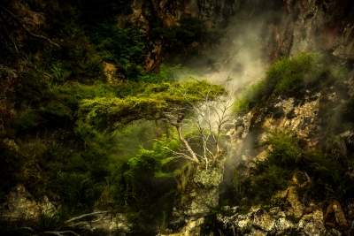 Cairns Photographic Society