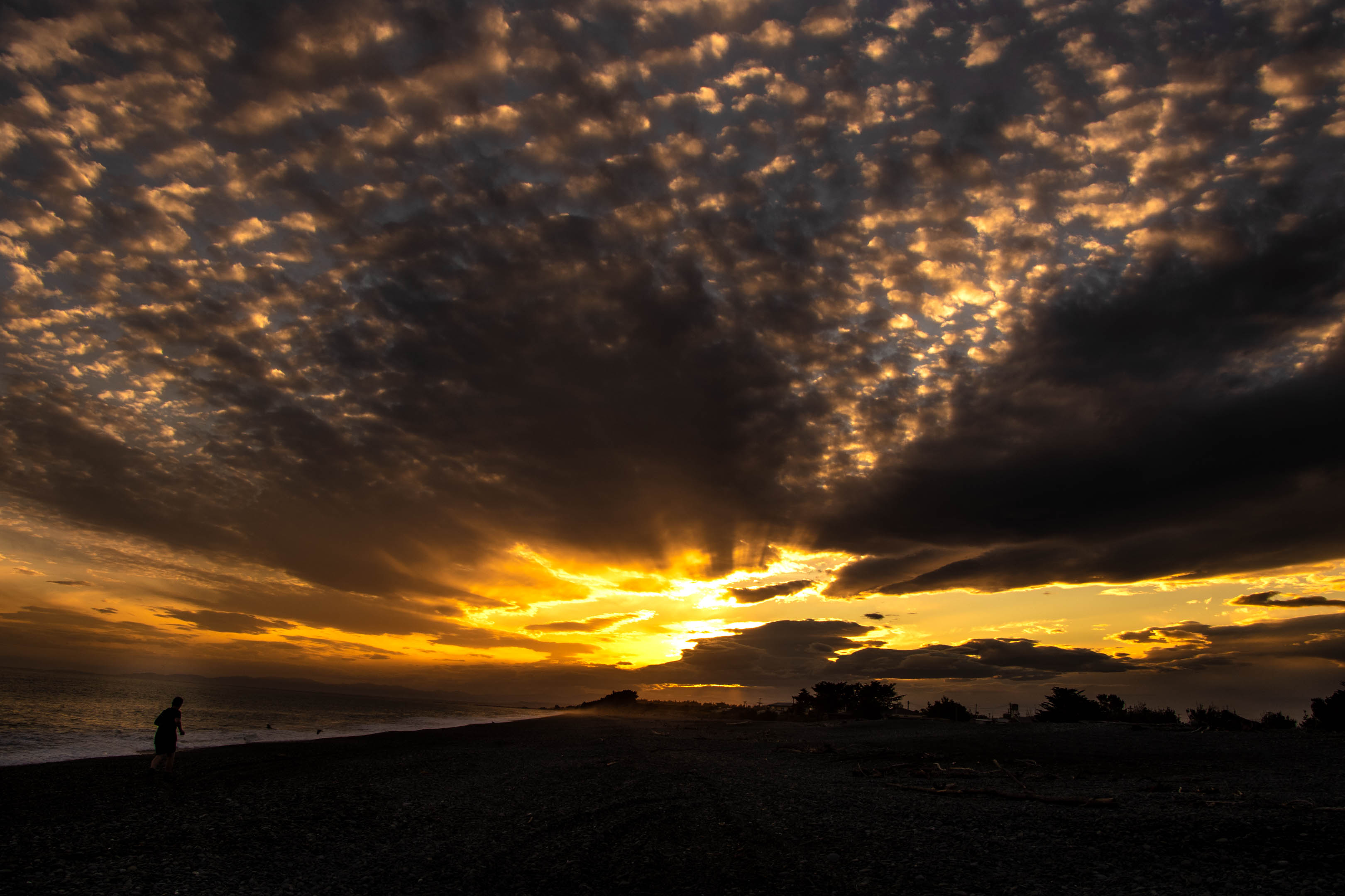 Timaru Photography Club