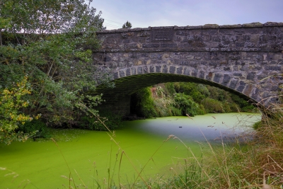 Timaru Photography Club