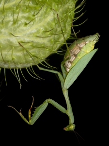 Mawhera National Salon of Photography